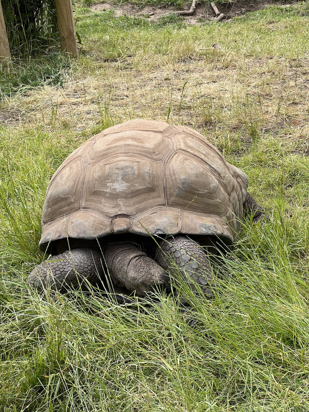 Year 7's Visit the Zoo - Etone College
