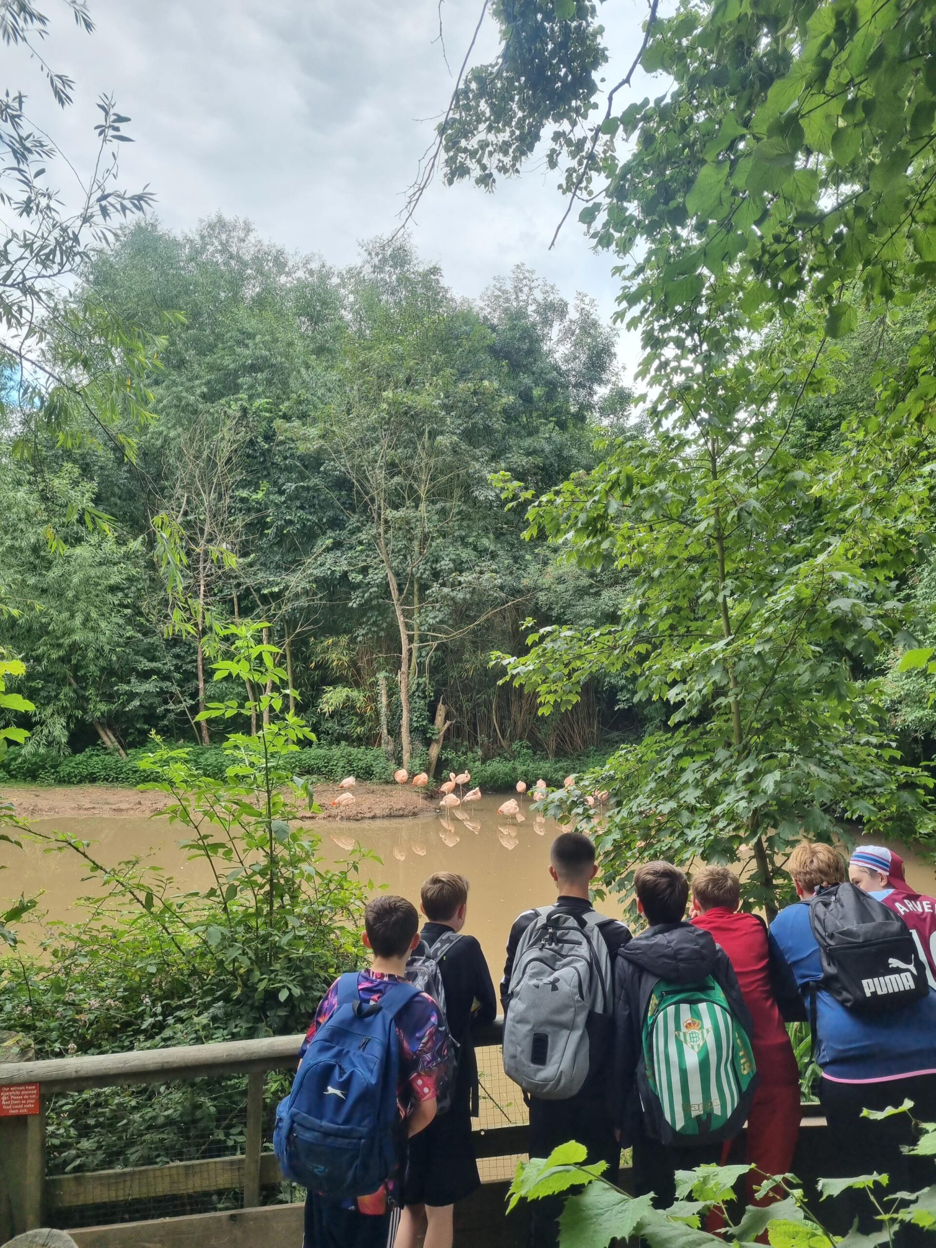 Year 8 Science of Animals - Etone College